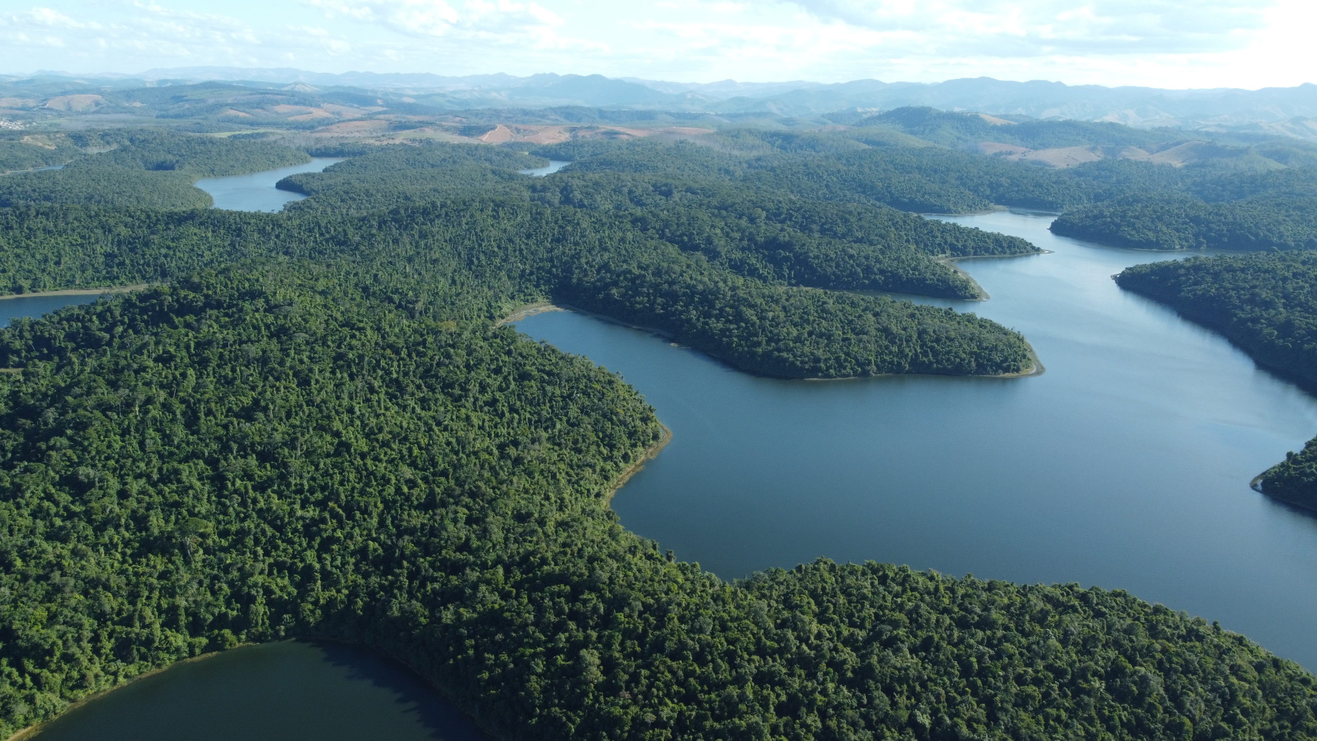 Parque Estadual Rio Doce: 80 anos celebrando a preservação ambiental em ...